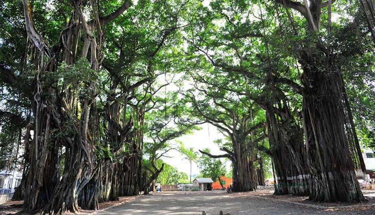 Excursions sur Tamatave - Discovery Tours Toamasina